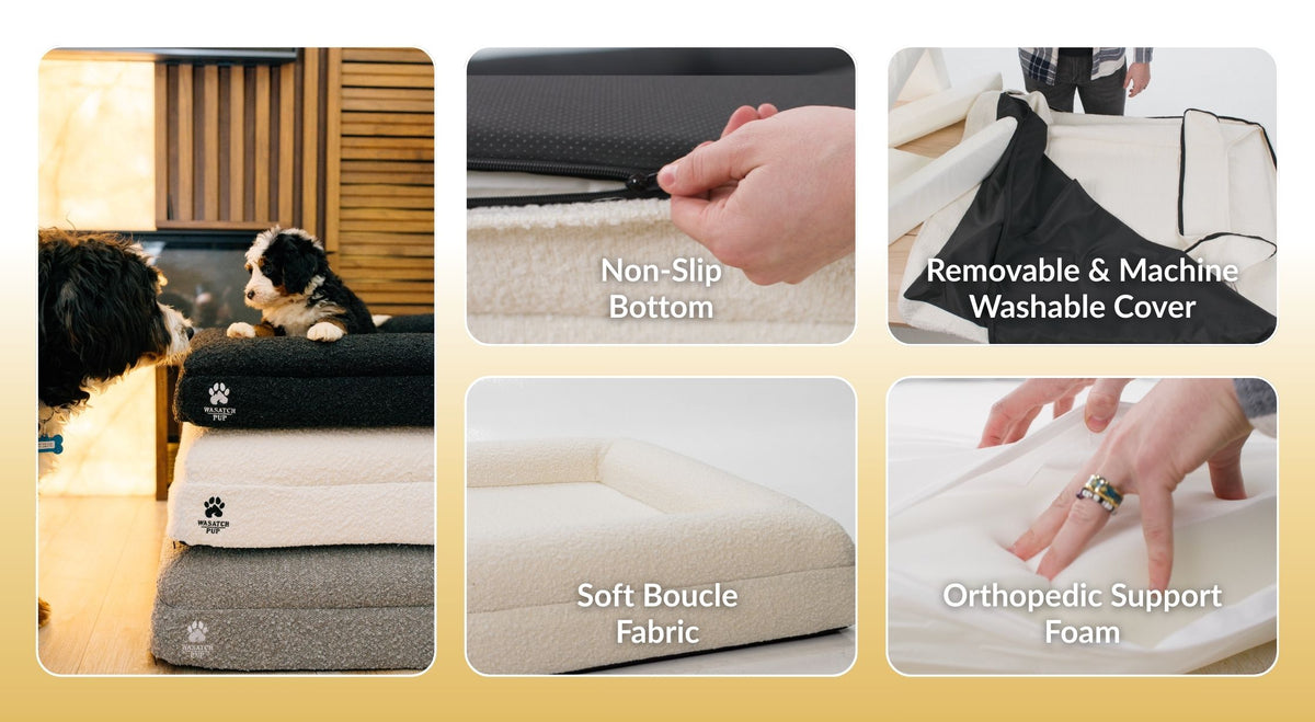 Luxury Orthopedic Dog Bed | Premium Joint Support for Dogs – Wasatch Pup
